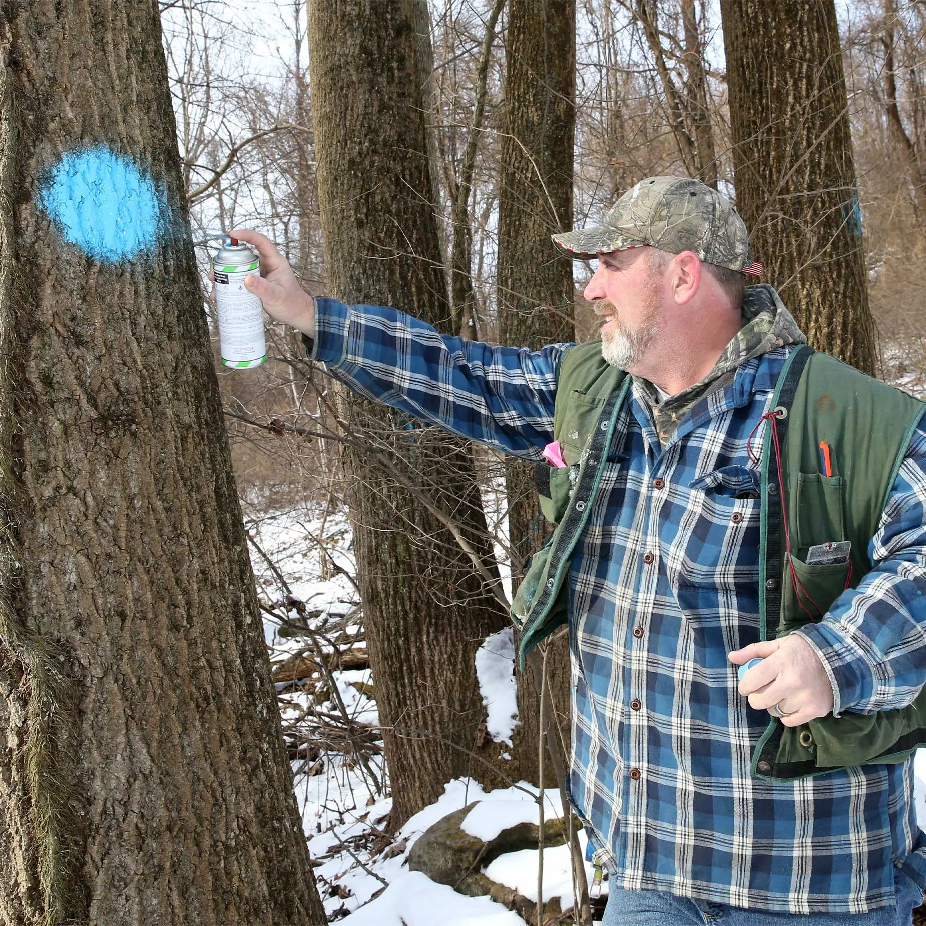 Timber Management - Woods and Wildlife Forestry