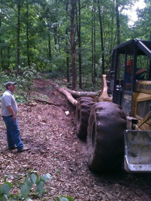 TOP 3 BENEFITS OF LOGGING YOUR TREES - Woods and Wildlife Forestry